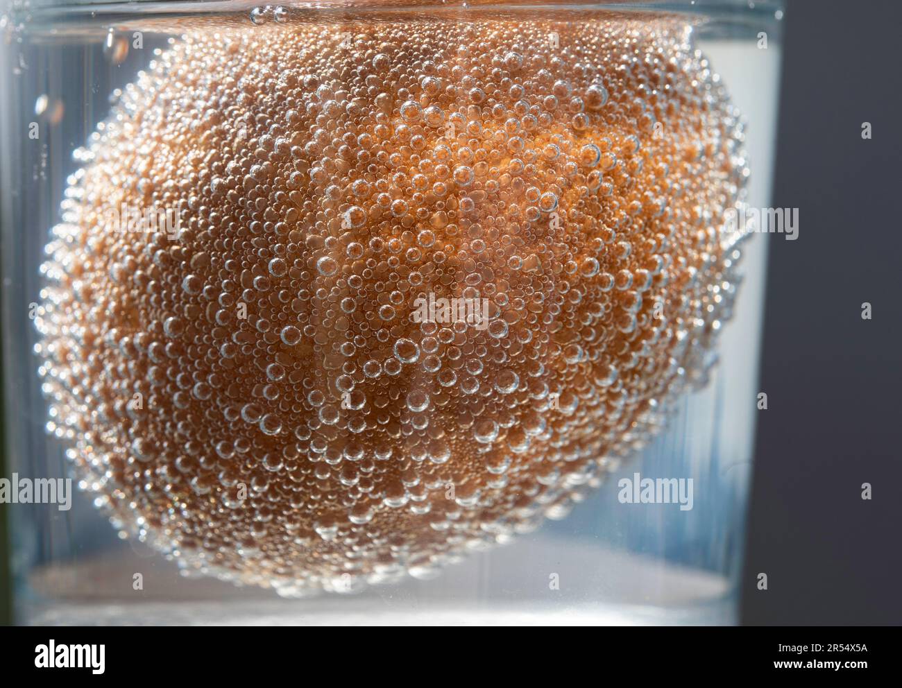 Gas bubbles dioxide hi-res stock photography and images - Alamy