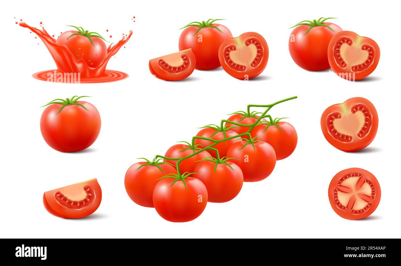 Set of red tomatoes isolated on white background. Realistic 3d Vector ...