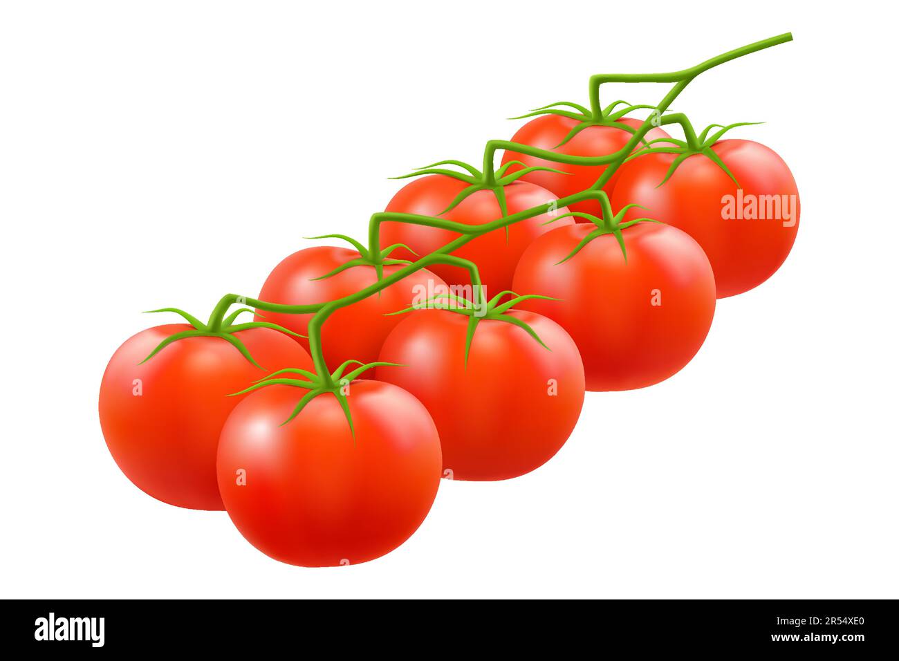 Branch of red cherry tomatoes. Realistic 3d vector illustration of vegetables plant. Fresh ...