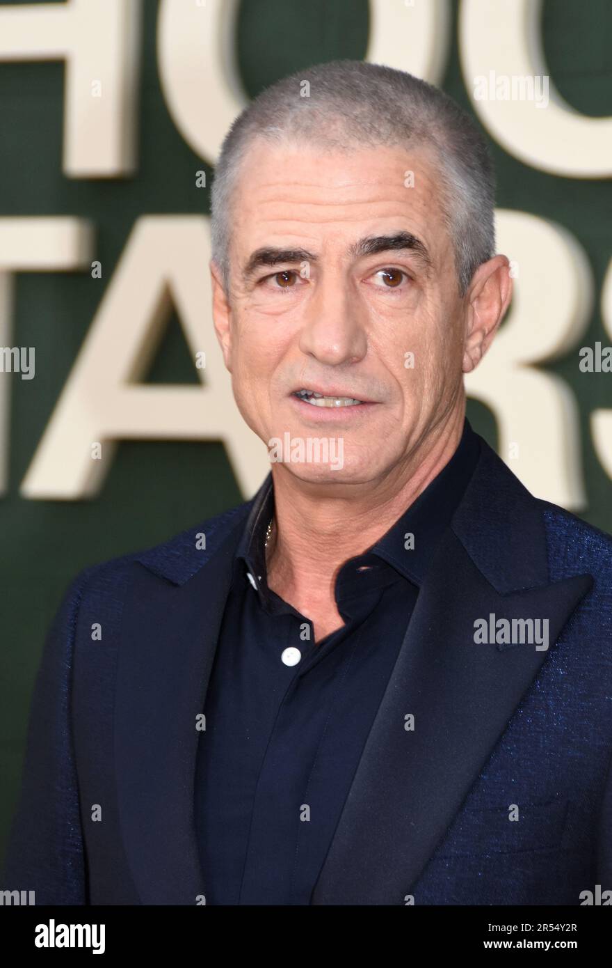 Los Angeles, California, USA 31st May 2023 Actor Dermot Mulroney ...