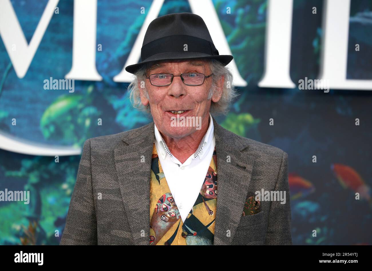 Christopher Fairbank attends the UK Premiere of "The Little Mermaid" at ...