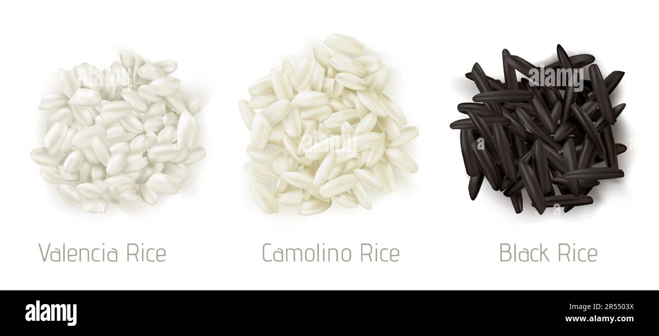 Rice valencia, camolino and wild grain piles top view isolated on white ...