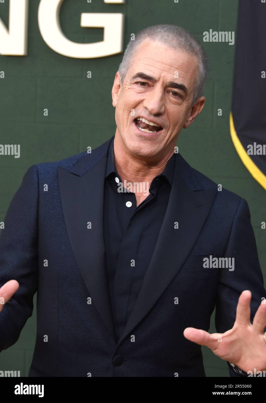 Los Angeles, California, USA 31st May 2023 Actor Dermot Mulroney ...