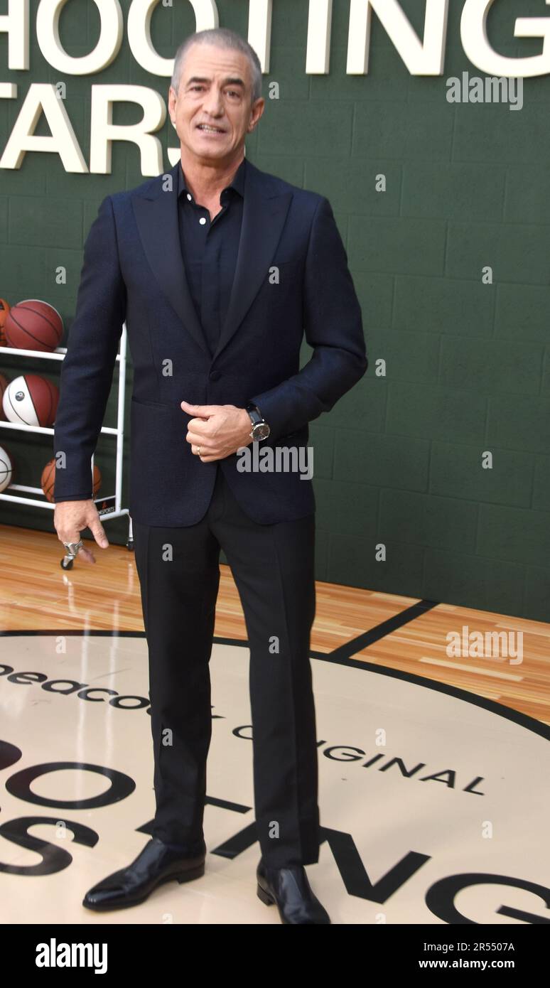 Los Angeles, California, USA 31st May 2023 Actor Dermot Mulroney ...
