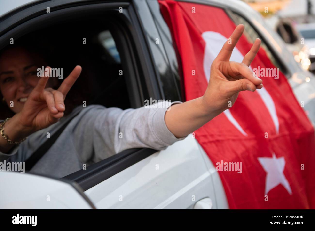 Turkish wolf hi-res stock photography and images - Alamy