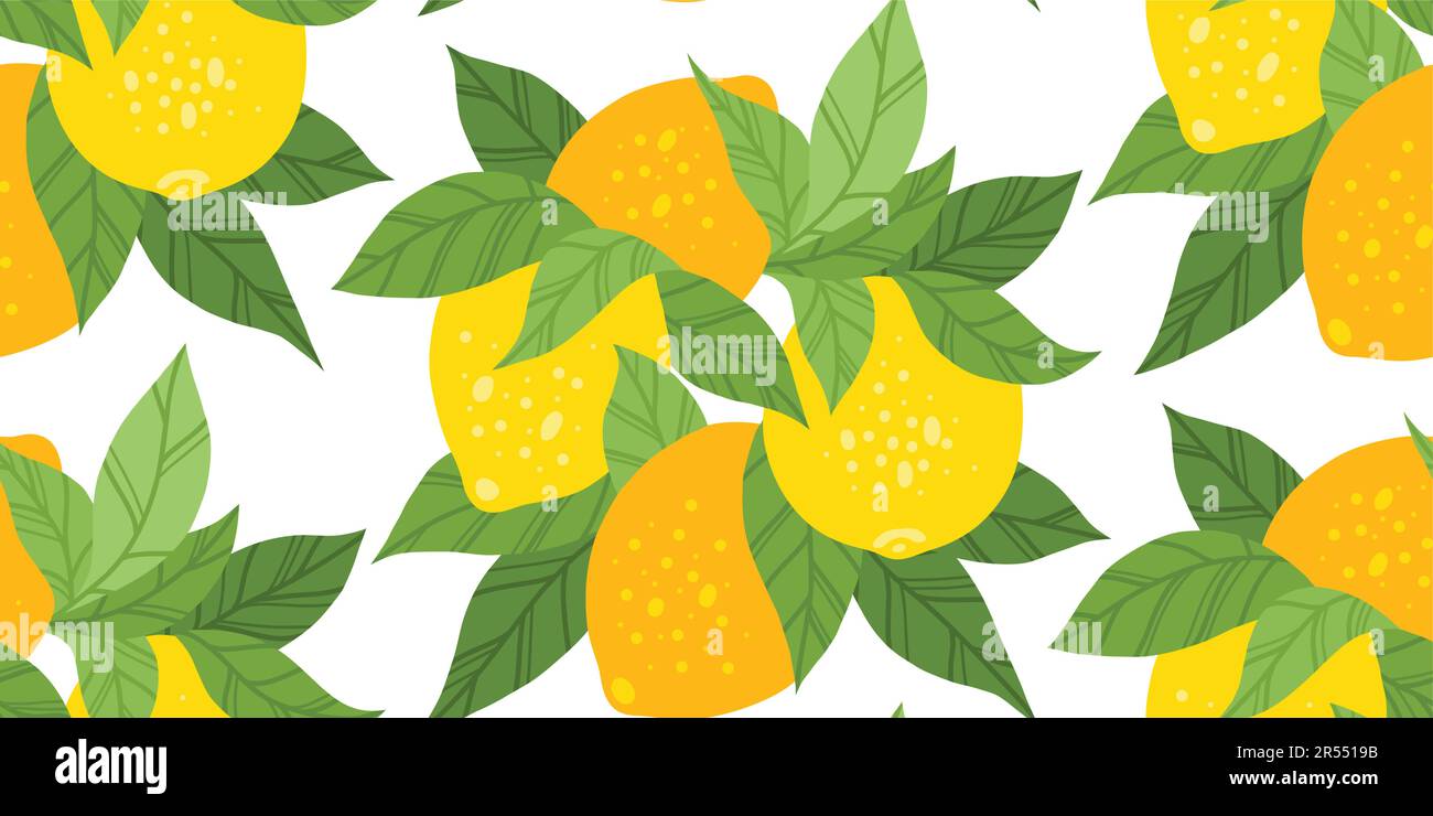 Vector texture with bush of hand drawn flat citrus fruits with leaves ...