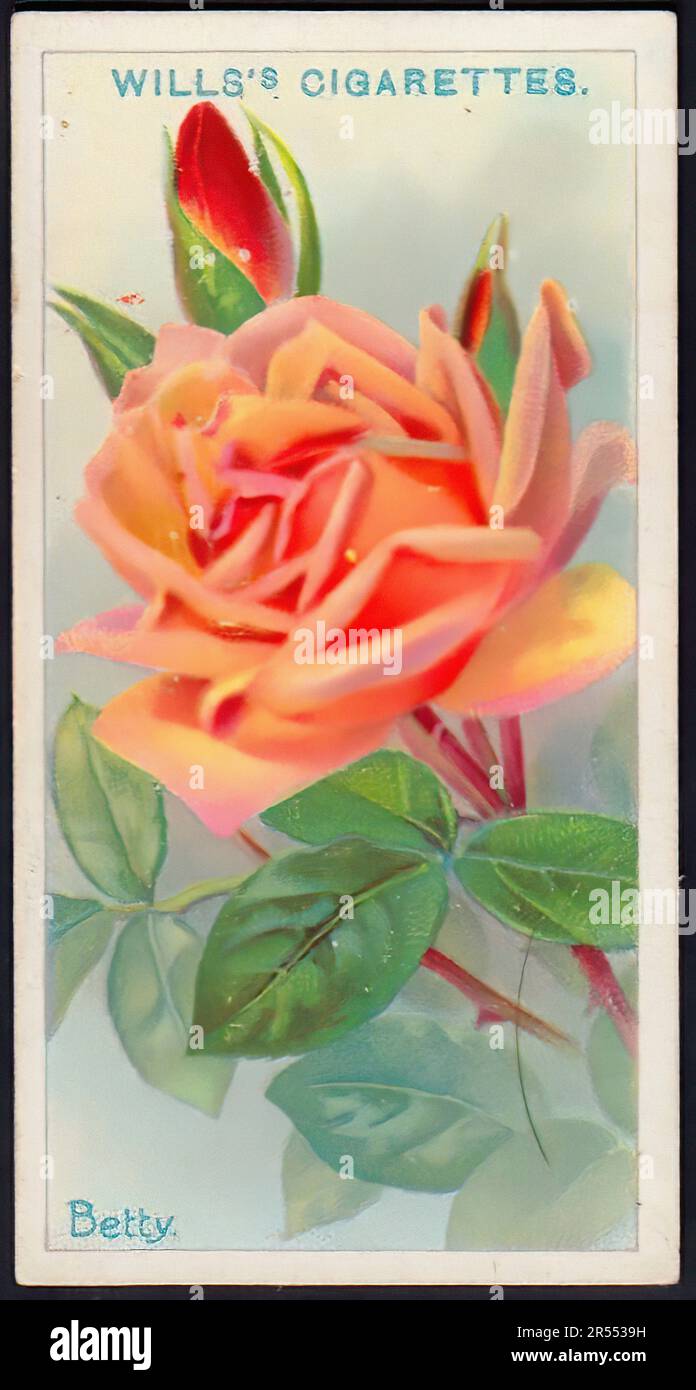 Betty Rose - Vintage Cigarette Card Stock Photo - Alamy