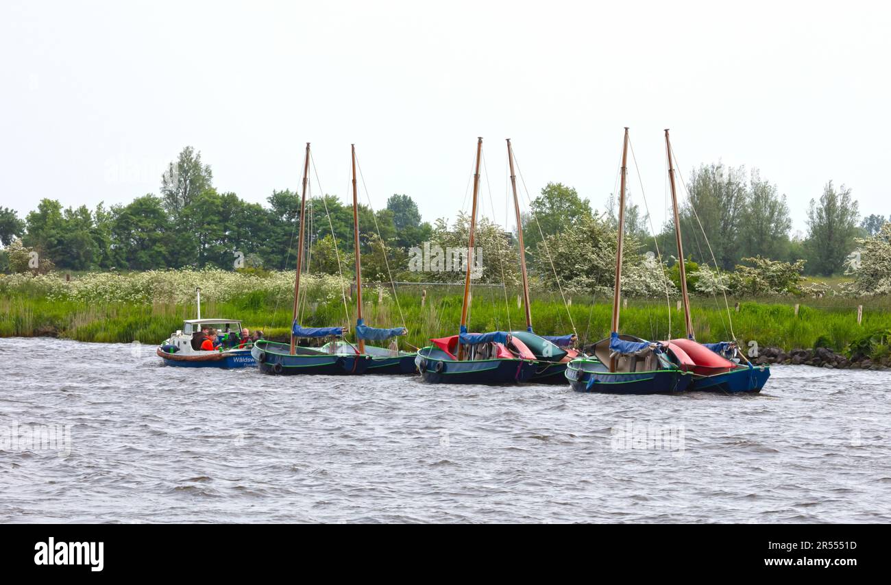 Small motorboat towing six small sailingships, the Netherlands Stock ...