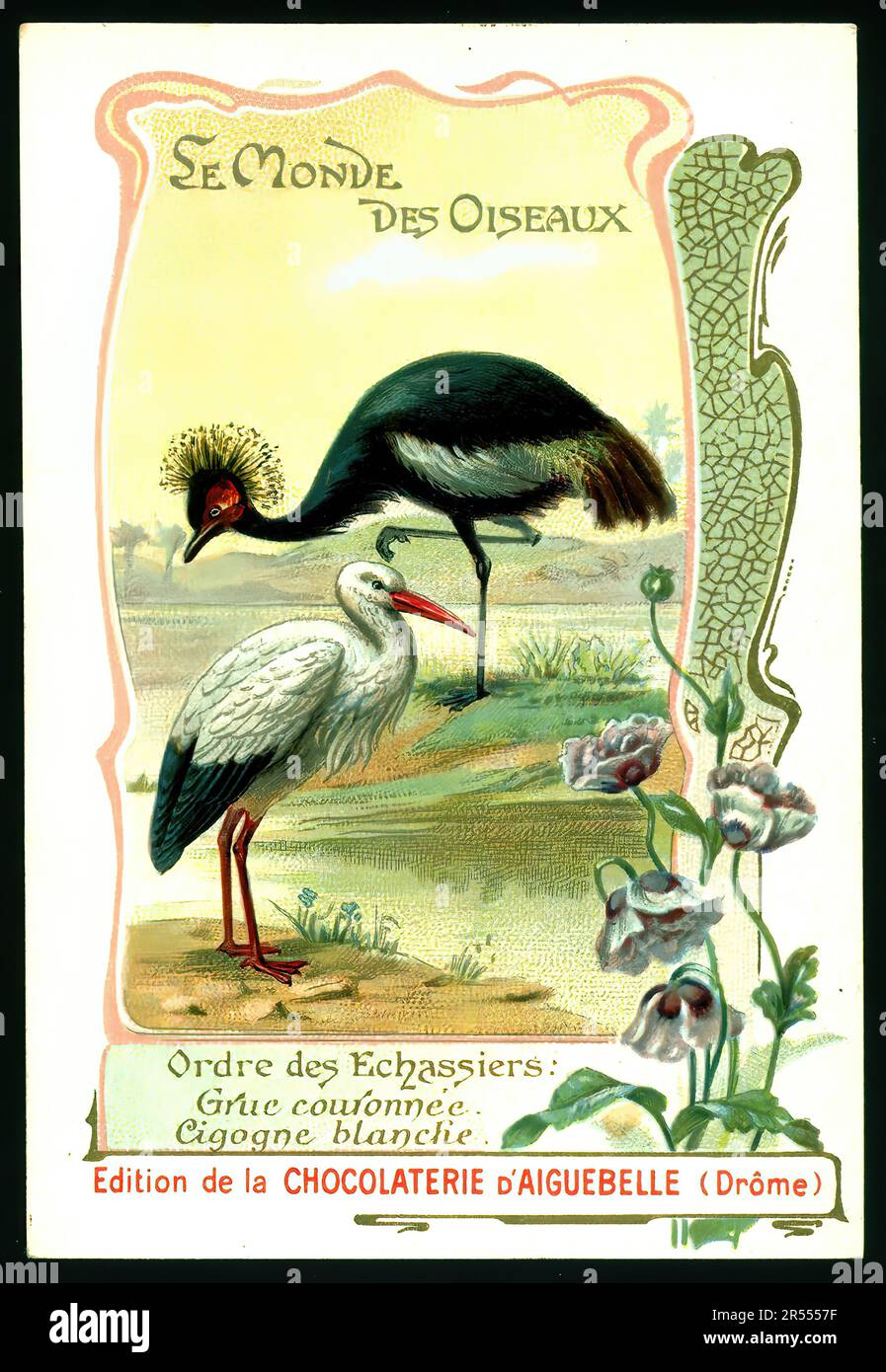 Crowned Crane & White Stork - Vintage French Tradecard, Belle Epoque ...