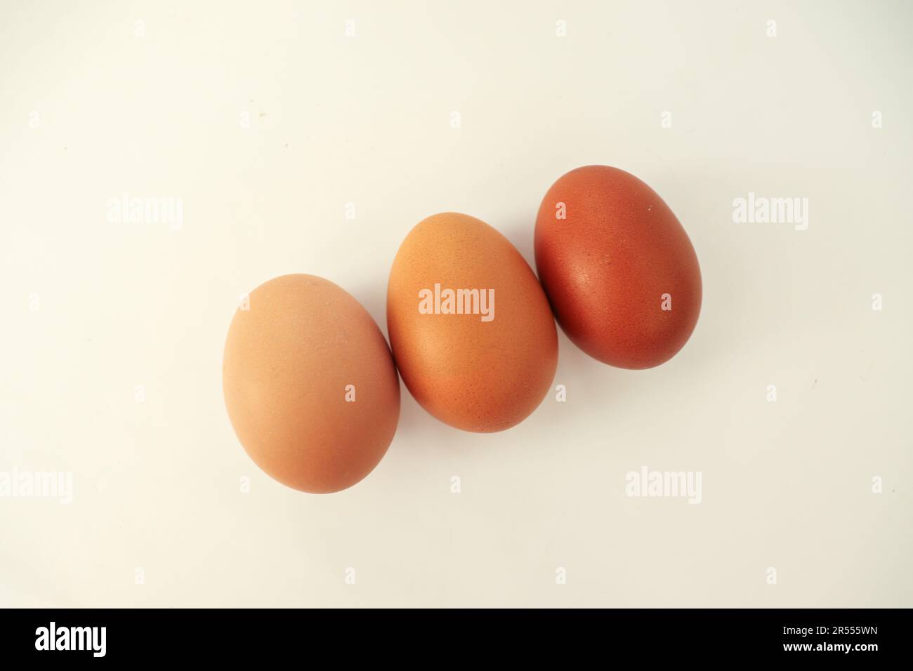 Three shades of colour of eggs photographed in white background Stock ...