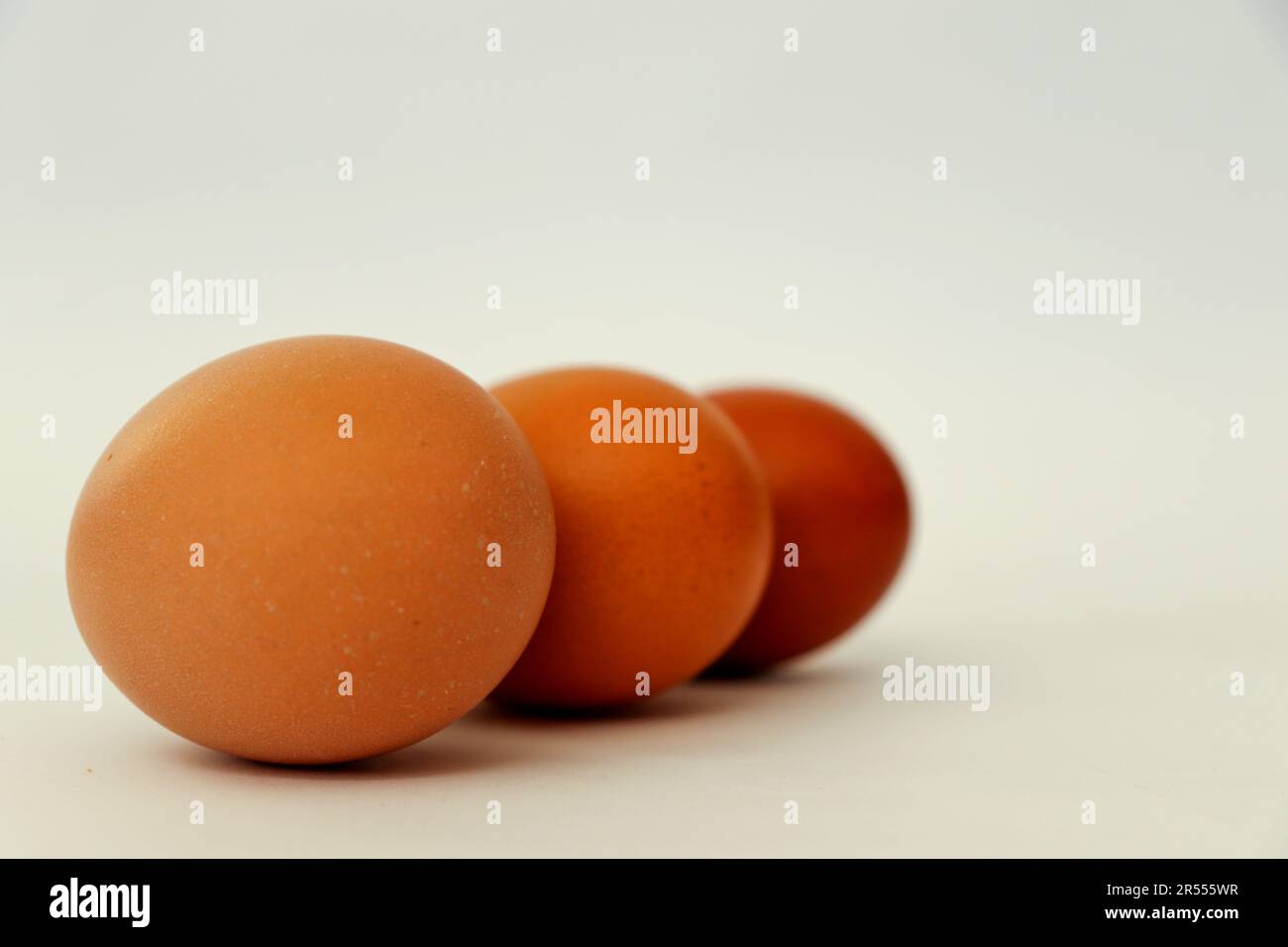 Three shades of colour of eggs photographed in white background Stock ...