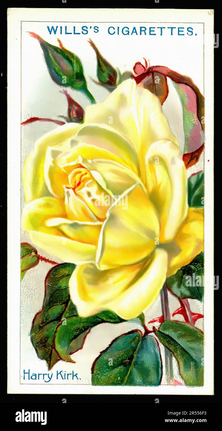 Harry Kirk Rose - Vintage Cigarette Card Stock Photo - Alamy