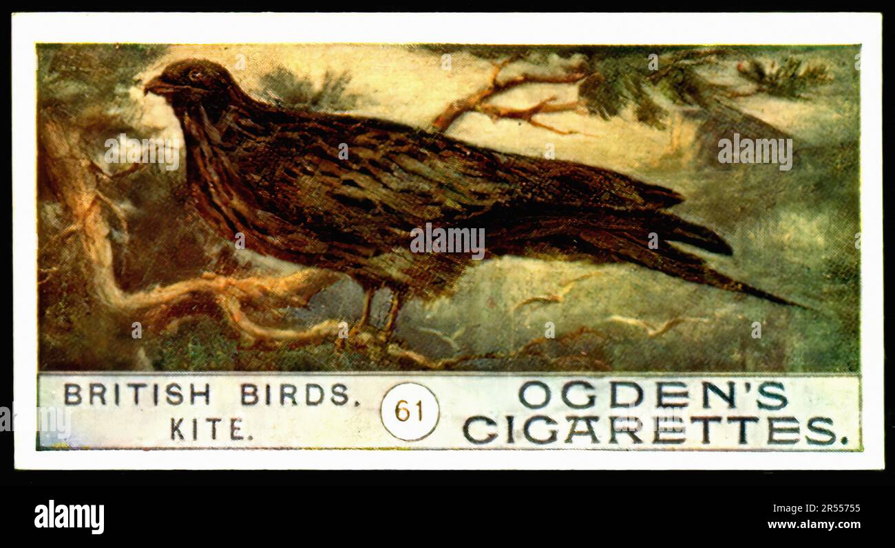 Kite 001 - Vintage Cigarette Card Stock Photo - Alamy