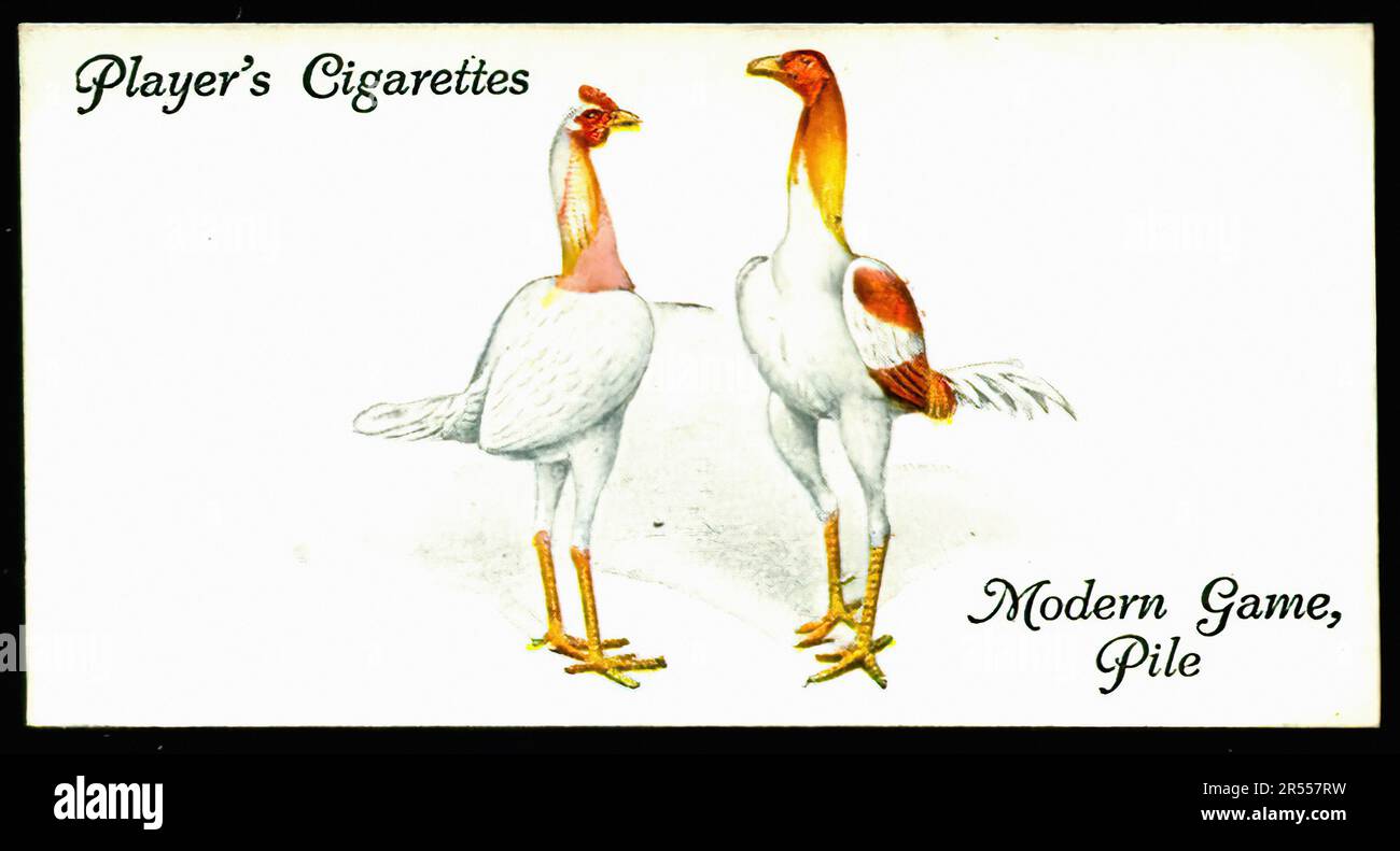 Modern Game, Pile - Vintage Cigarette Card Stock Photo - Alamy