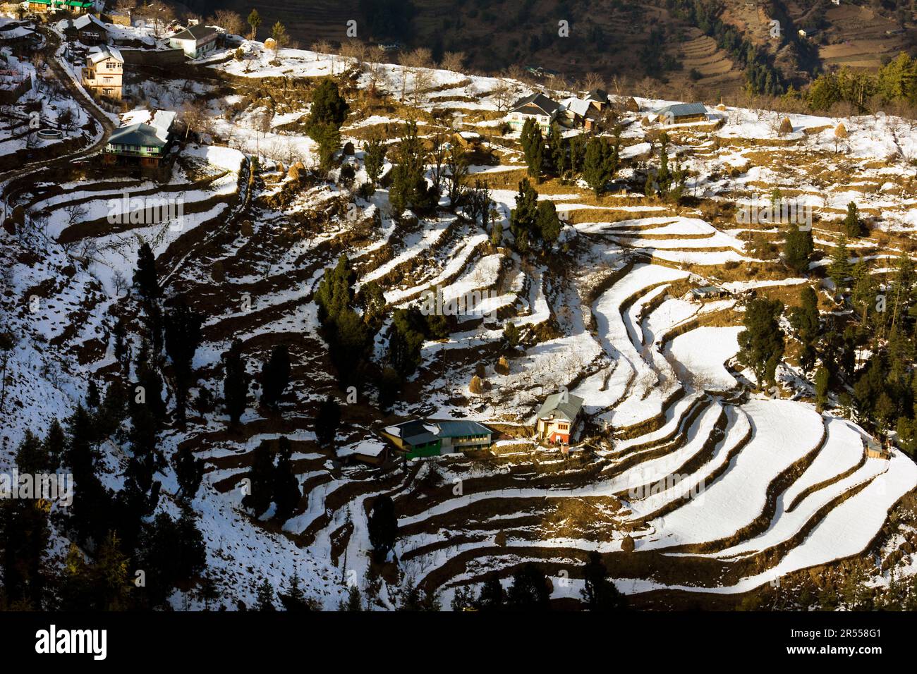 Terrace farming hi-res stock photography and images - Alamy