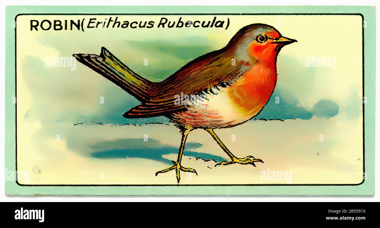 Robin card design hi-res stock photography and images - Alamy