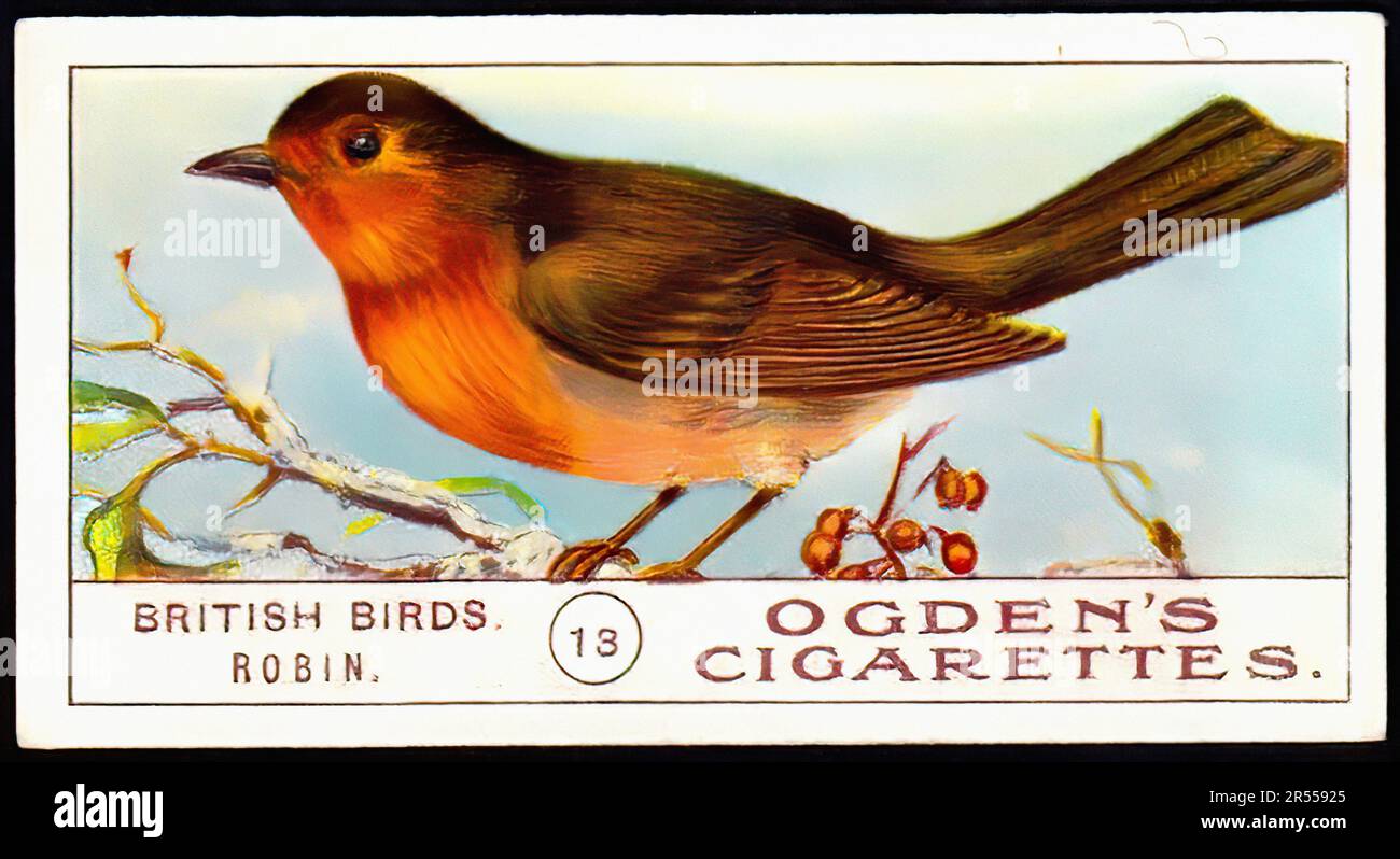 Robin card design hi-res stock photography and images - Alamy