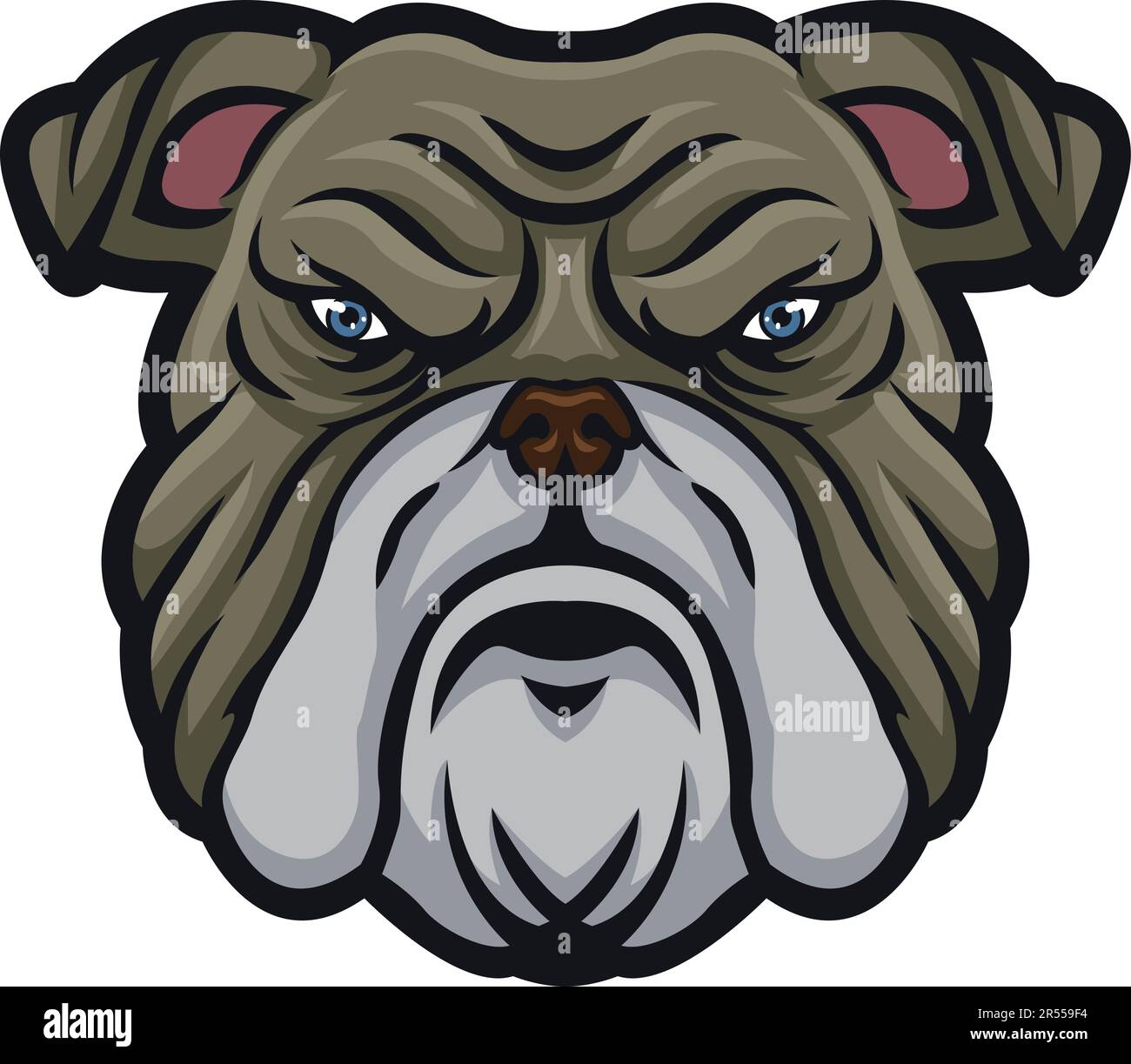 Bulldog Face Vector