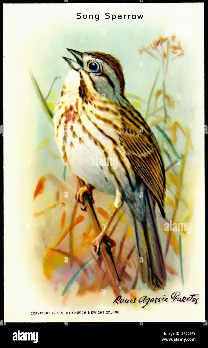 American song collection hi-res stock photography and images - Alamy