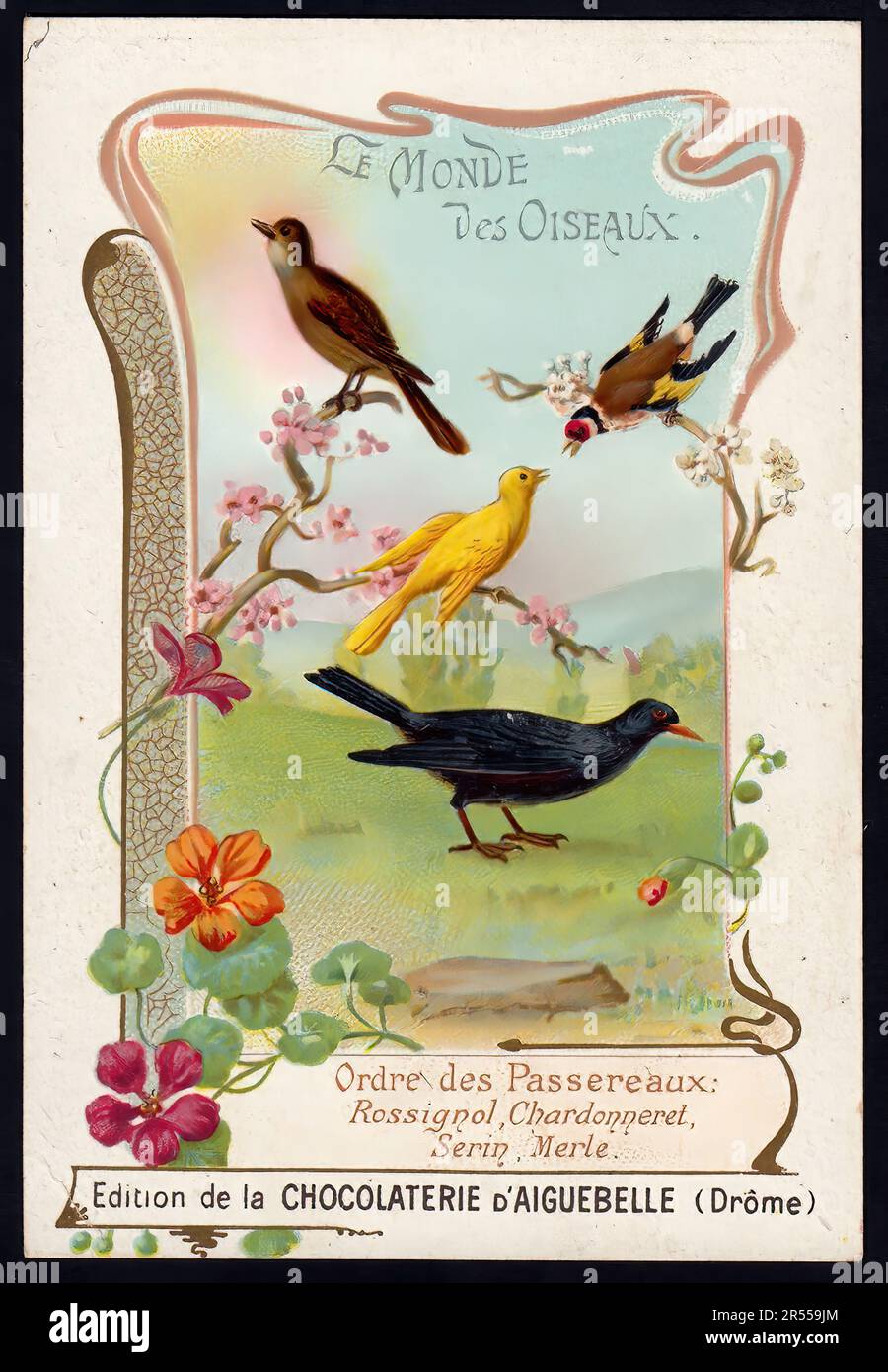 Songbirds - Vintage French Tradecard, Belle Epoque Era Stock Photo - Alamy