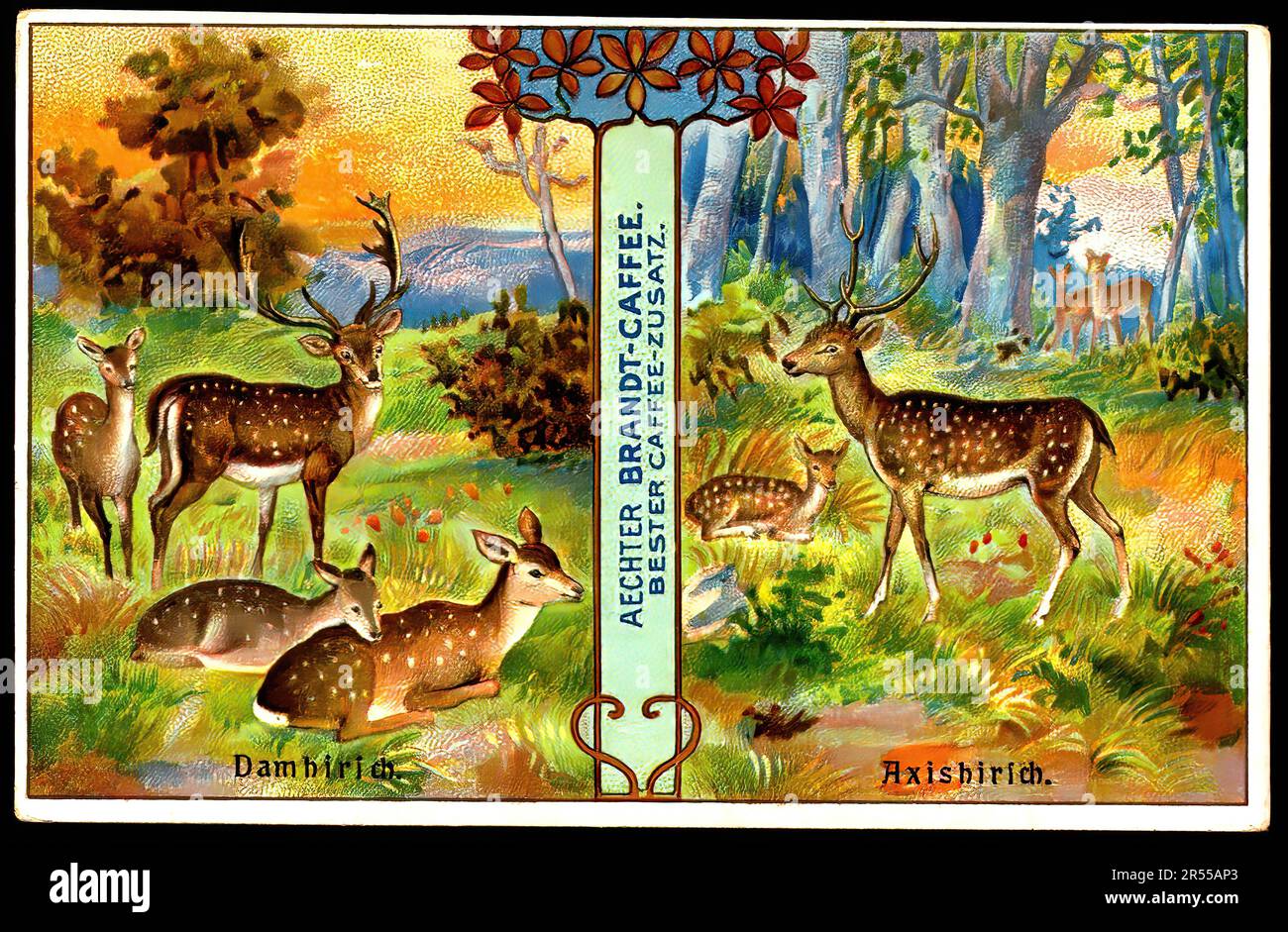 Types of Deer - Vintage German Tradecard Stock Photo - Alamy