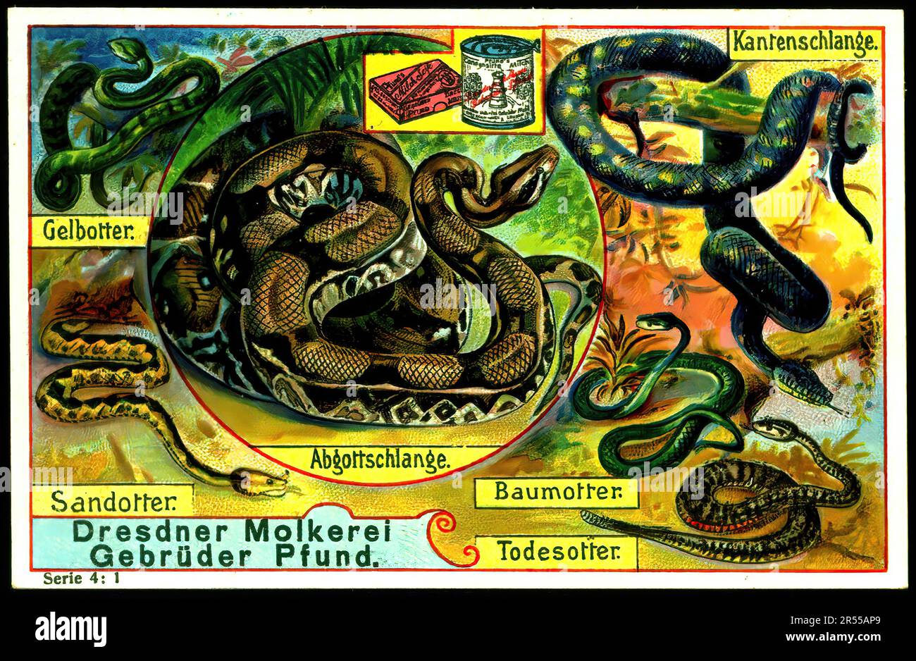 Types of Snakes - Vintage German Tradecard Stock Photo - Alamy