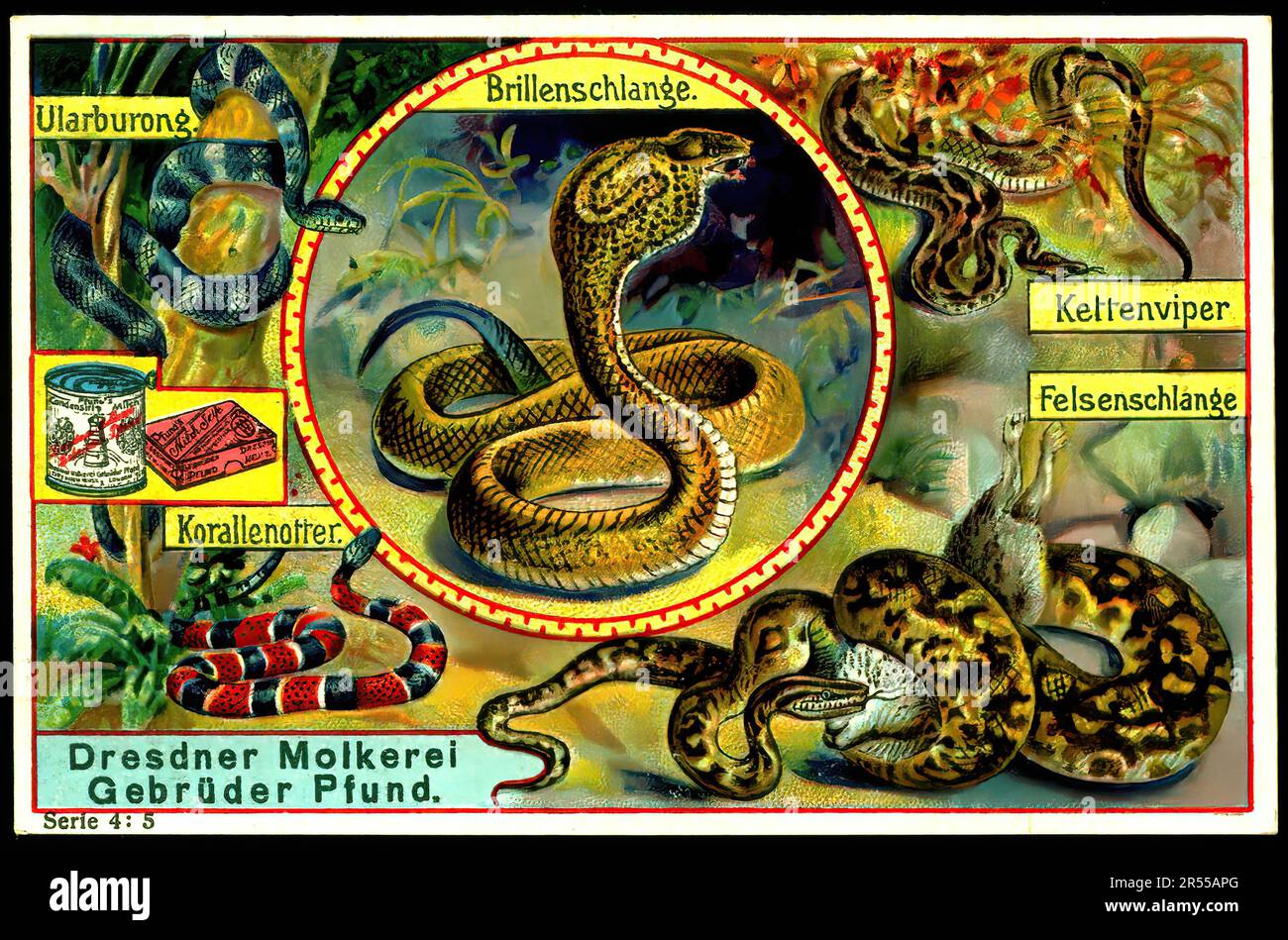 Types of Snakes - Vintage German Tradecard Stock Photo - Alamy