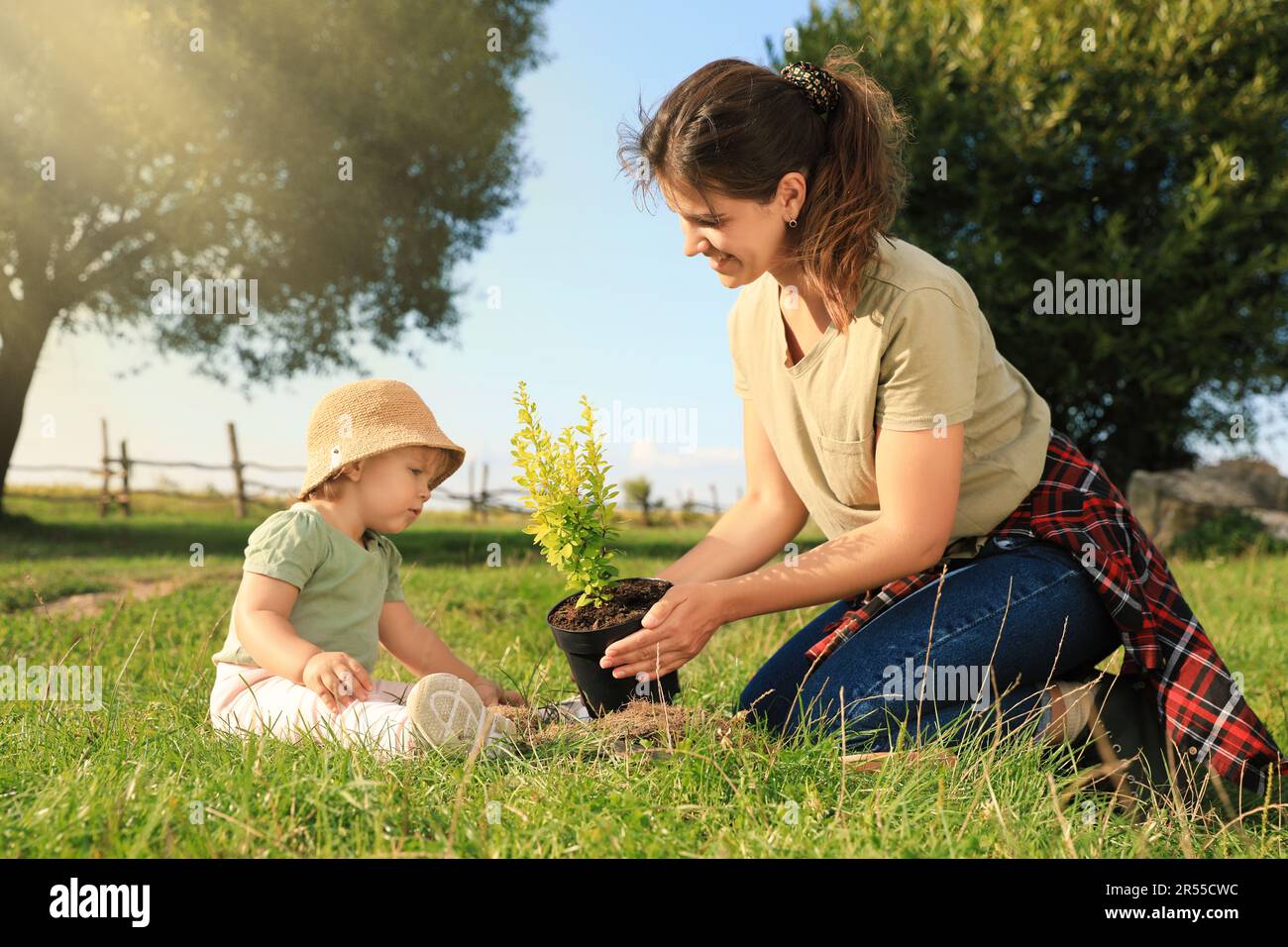 Mother and her baby daughter planting tree together in garden Stock ...
