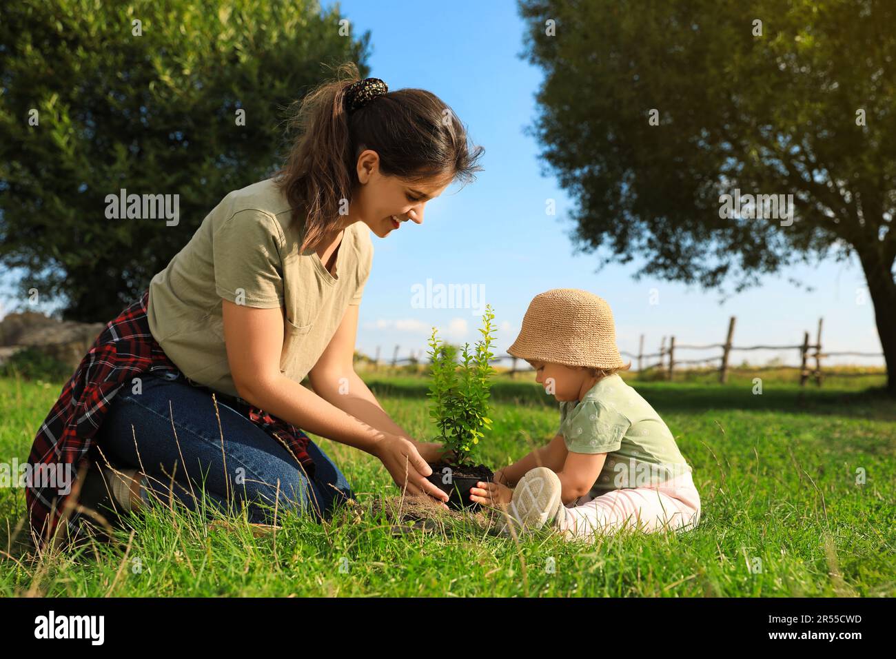 Mother and her baby daughter planting tree together in garden Stock ...