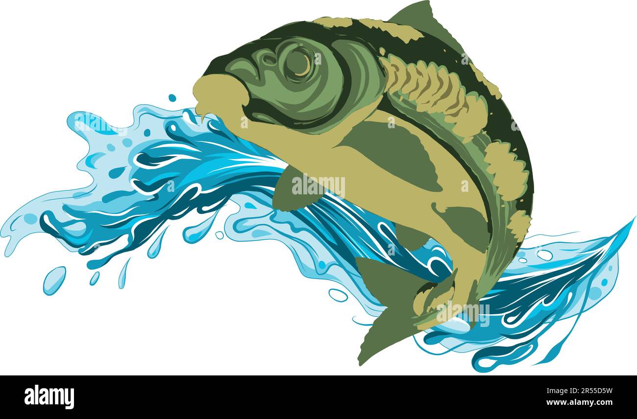 illustration of carp with splashing water Stock Vector Image & Art - Alamy
