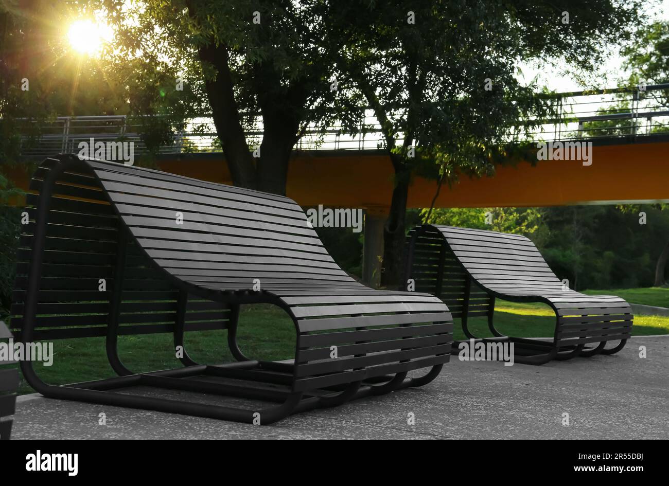 Beautiful wooden benches in park near trees Stock Photo - Alamy