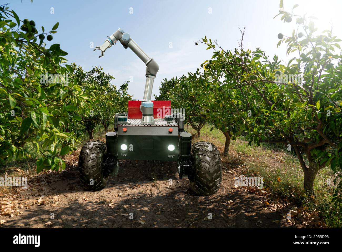 Autonomous robot harvester with robotic arm harvesting fruits on a ...