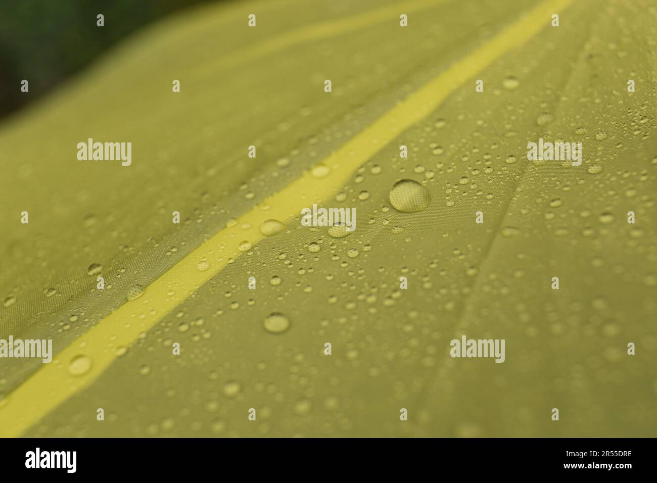 Closeup heavy rain droplets falling hi-res stock photography and images ...