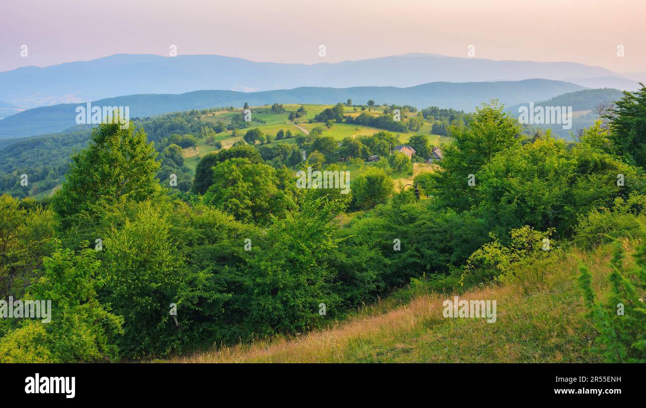 rural mountain scenery in evening light. stunning landscape with trees ...