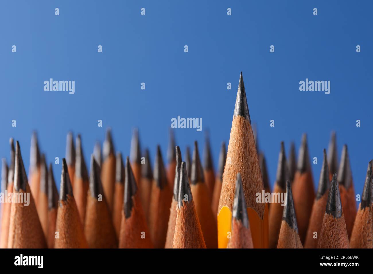 Sharp graphite pencils on blue background, closeup. Space for text ...