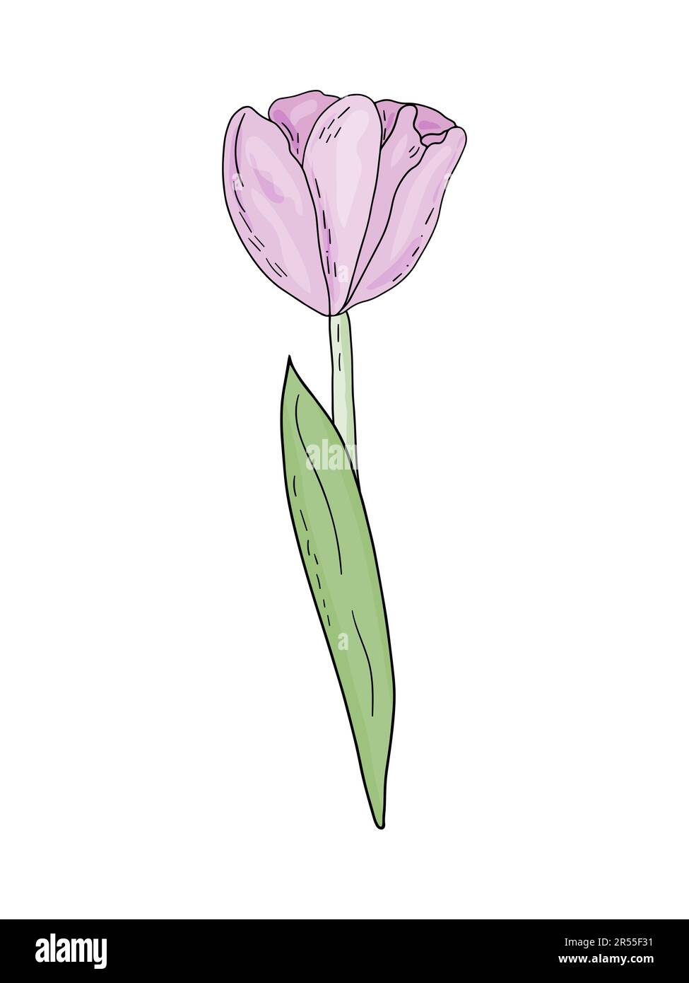 Tulips flower for background mothers day,texture, wrapper pattern for ...