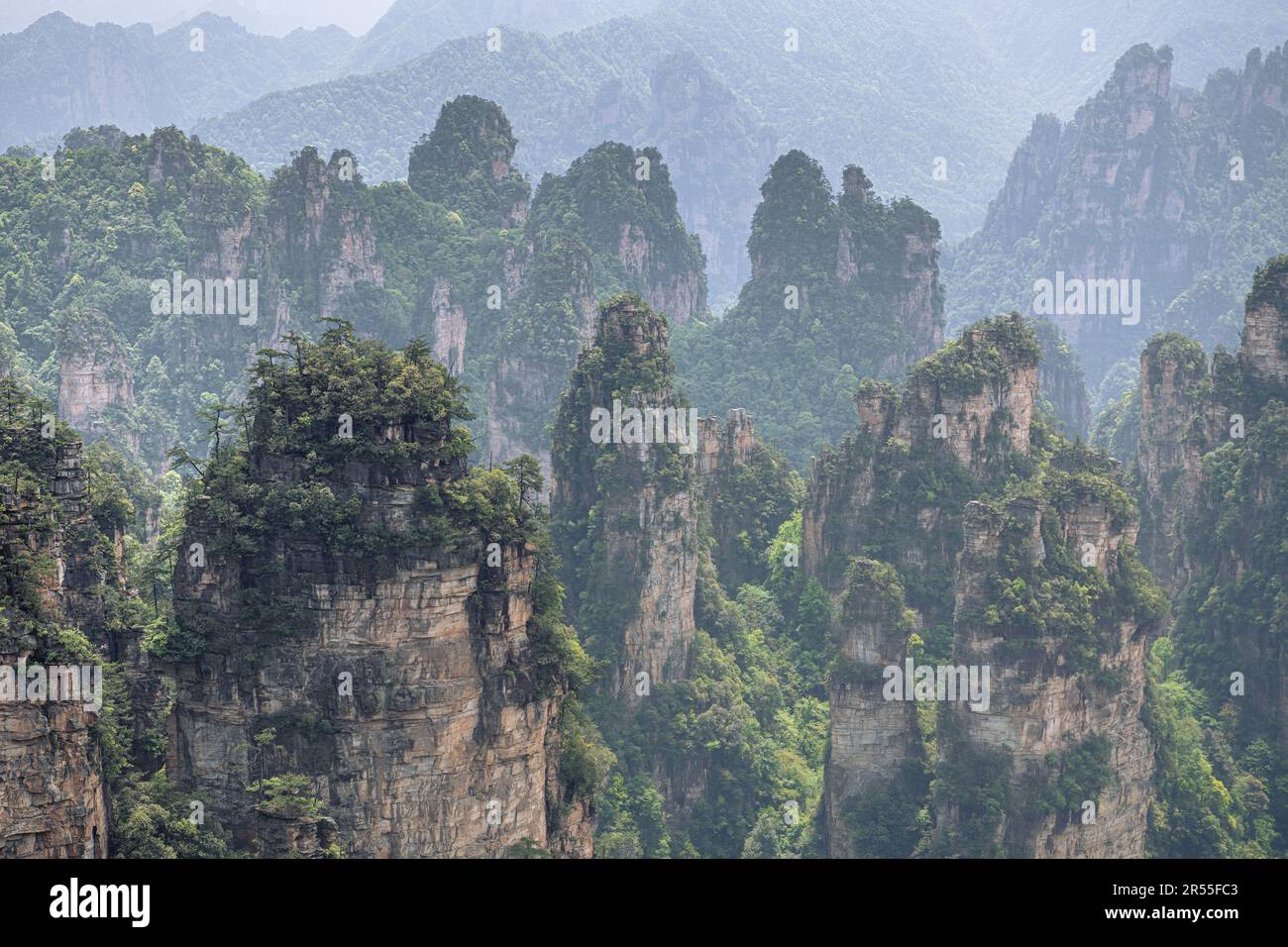 Zhangjiajie national forest park, Wulingyuan, China Stock Photo - Alamy