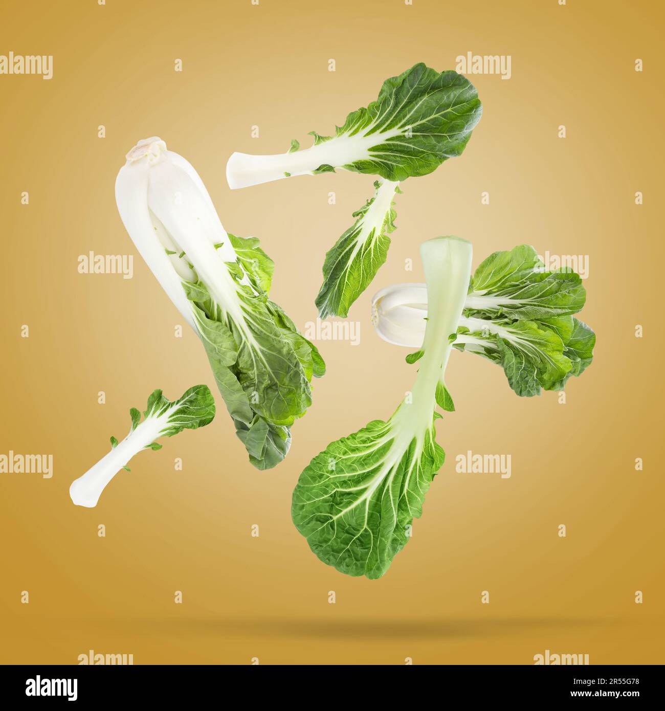 Fresh green pak choy cabbages falling on golden background Stock Photo ...