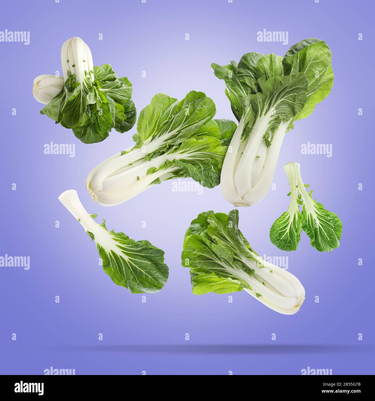 Fresh green pak choy cabbages falling on violet background Stock Photo ...