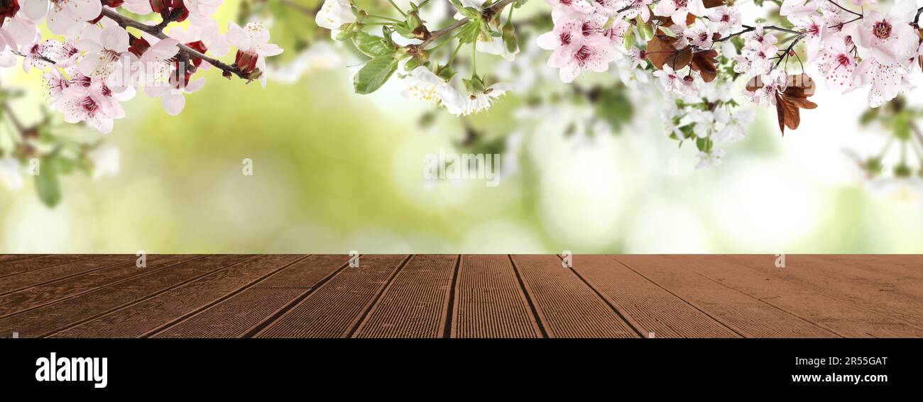 Spring tree branches with beautiful flowers over empty wooden surface ...