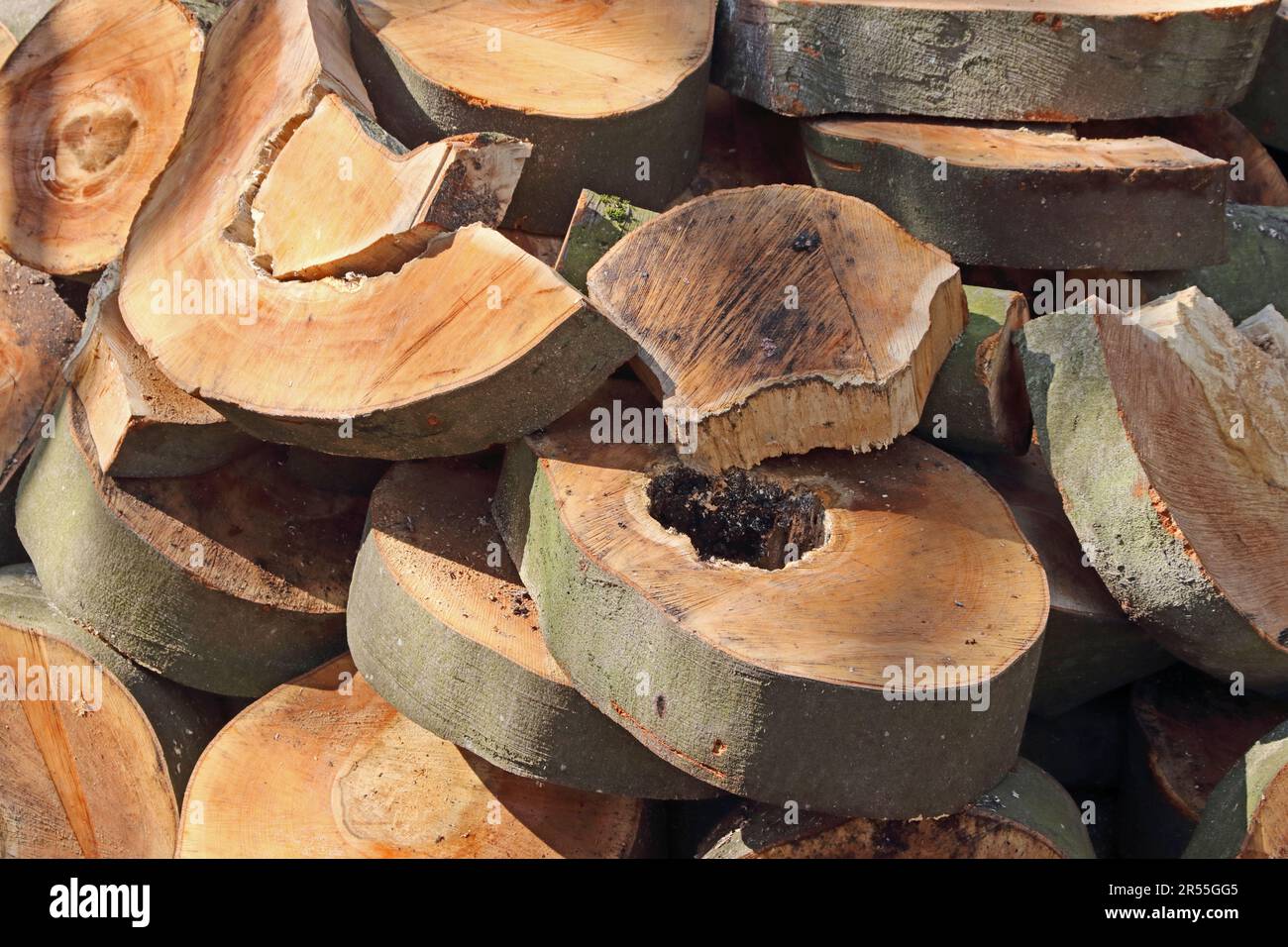 Tree branch pile hi-res stock photography and images - Alamy