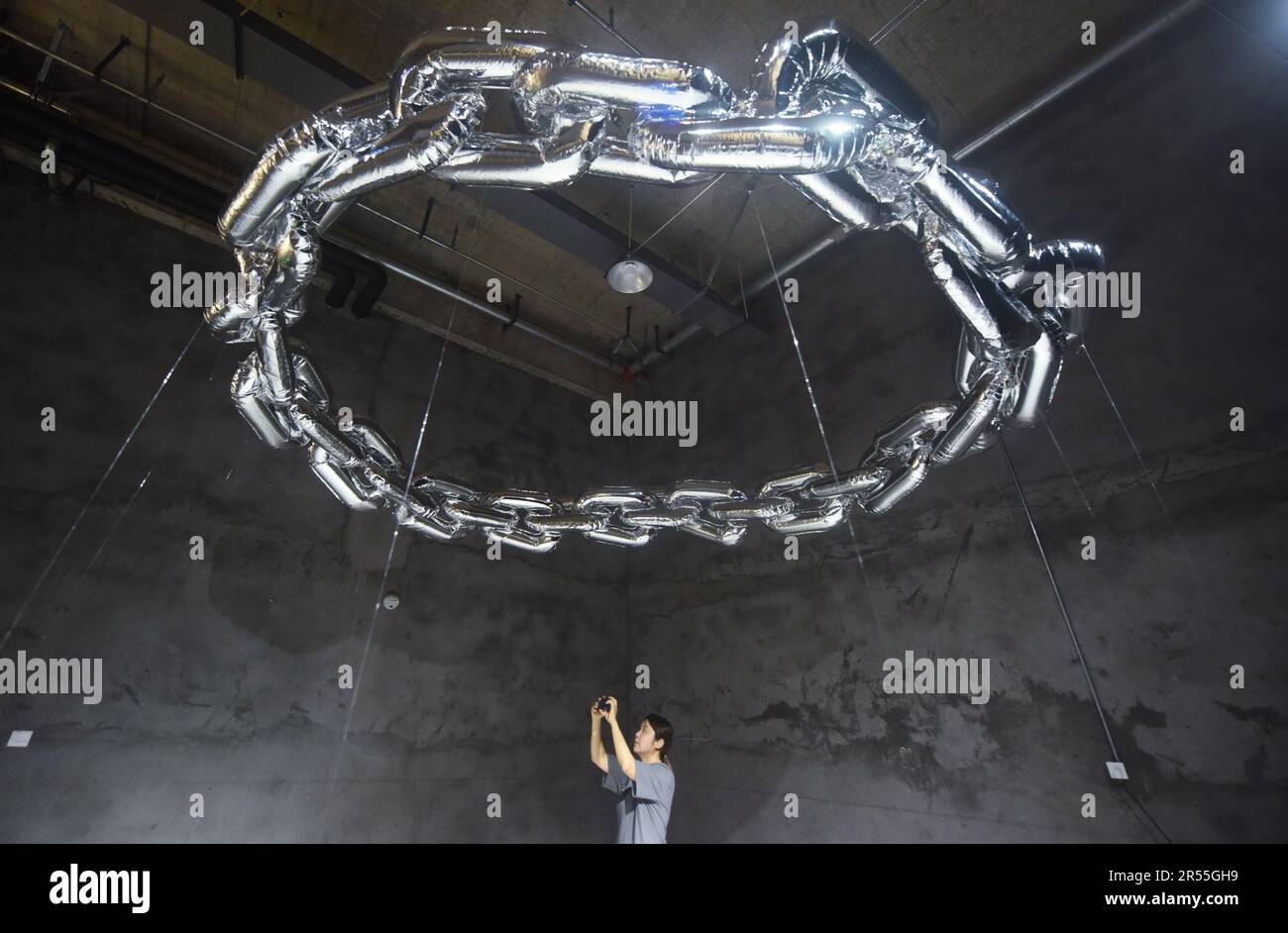 HANGZHOU, CHINA - JUNE 1, 2023 - A visitor looks at the creative work ...