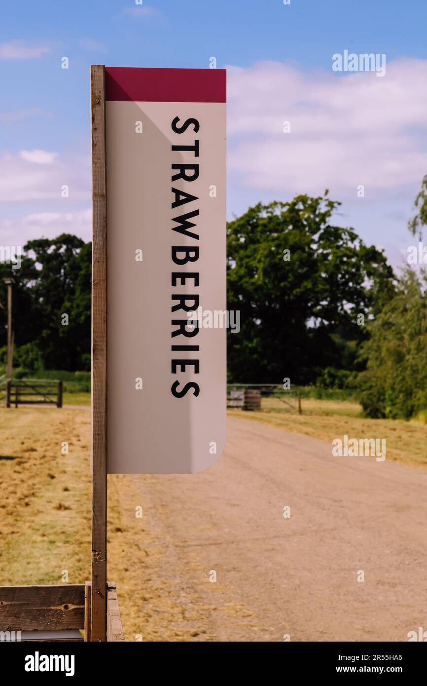 Strawberry picking sign at Garson Farm PYO, pick your own strawberries ...