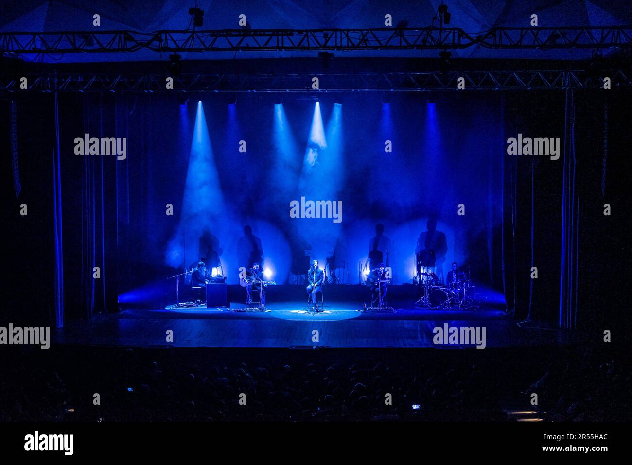 Fast Animals and Slow Kids Stock Photo - Alamy