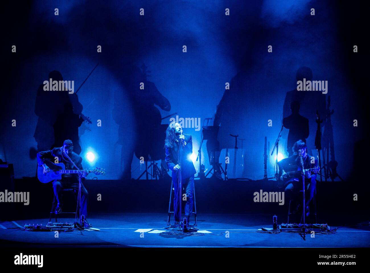 Fast animals hi-res stock photography and images - Alamy