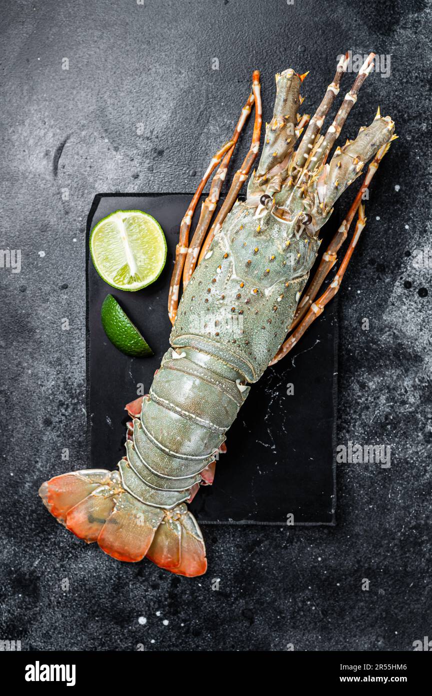 Raw Spiny lobster or sea crayfish on a marble board. Black background ...