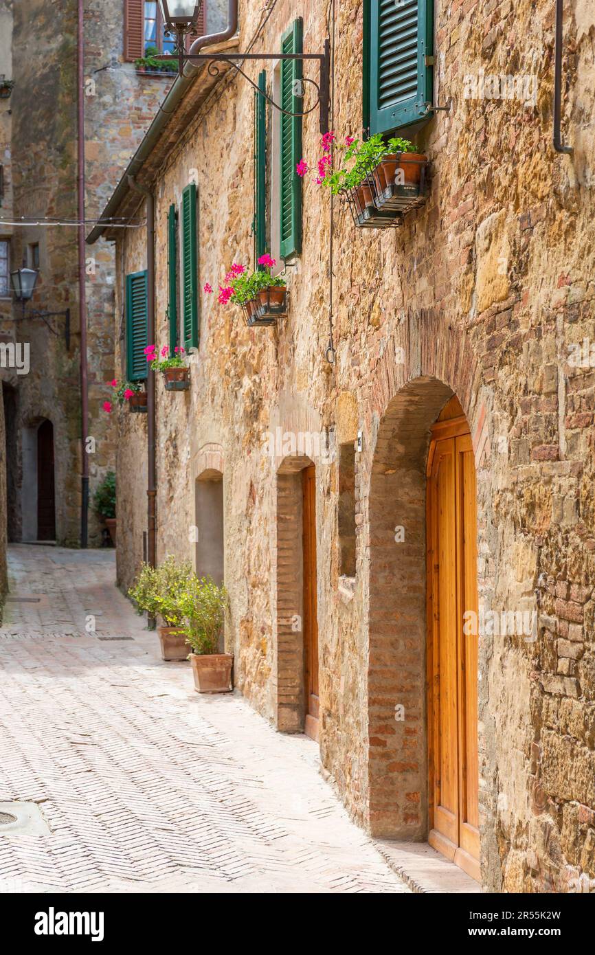 Doors in an alley in the backyard with flowering plants at the windows ...