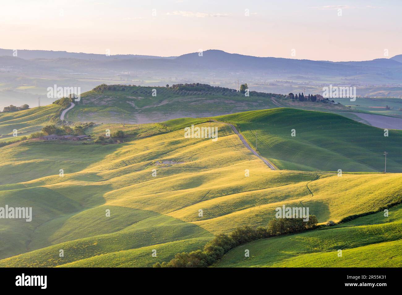 Rolling fields at sunrise in a rural landscape Stock Photo - Alamy