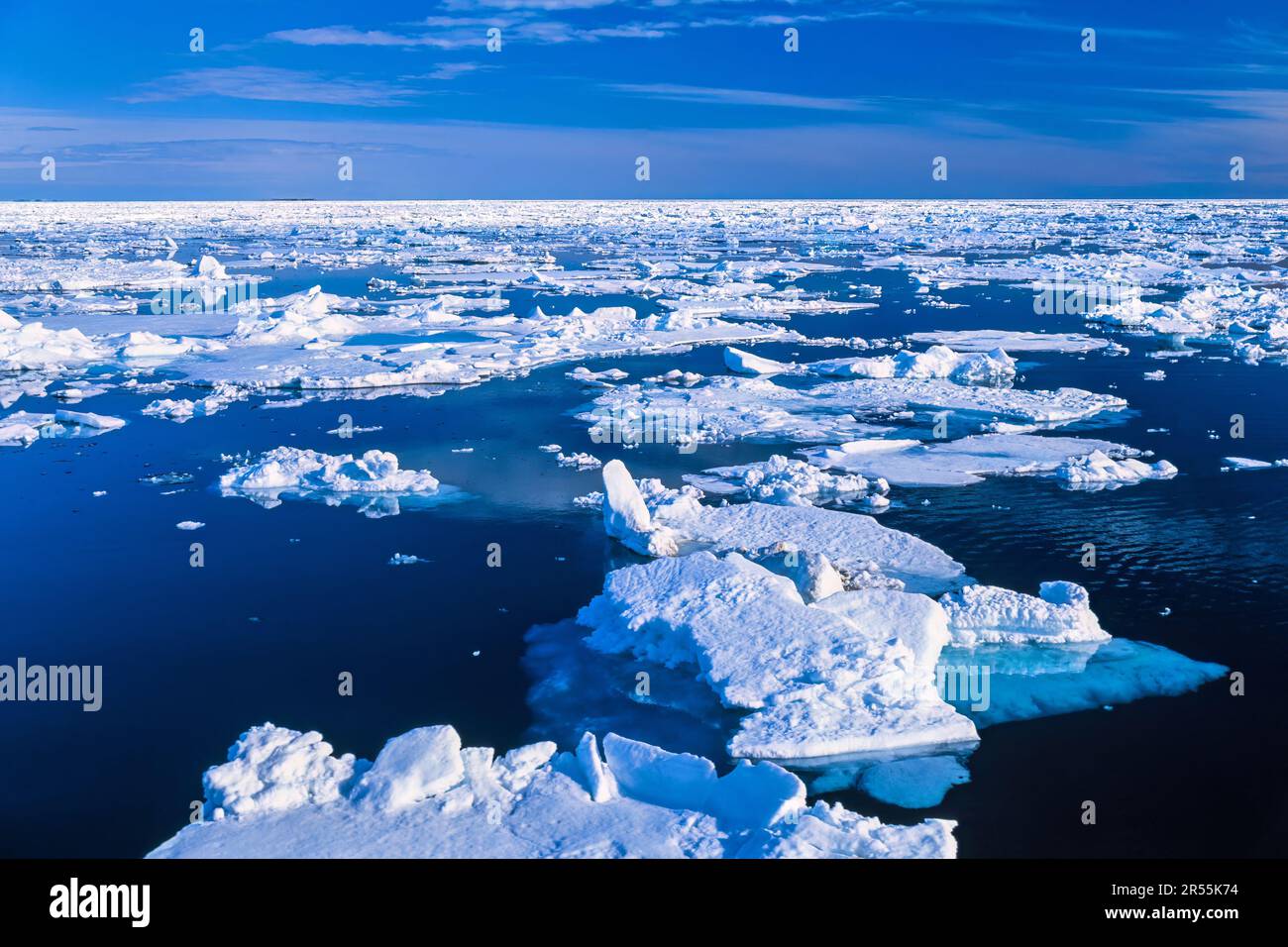 Ice floe in the Arctic ocean Stock Photo - Alamy