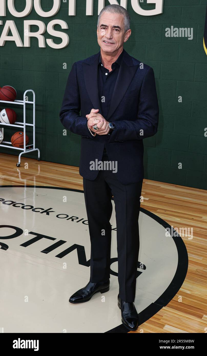WESTWOOD, LOS ANGELES, CALIFORNIA, USA - MAY 31: American actor Dermot ...